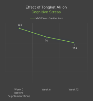 Tongkat Ali Health Benefits For Adult Male and Females: Explained ...