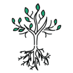 Tongkat Ali: History, Usage, Benefits, Dosage and more - Akarali