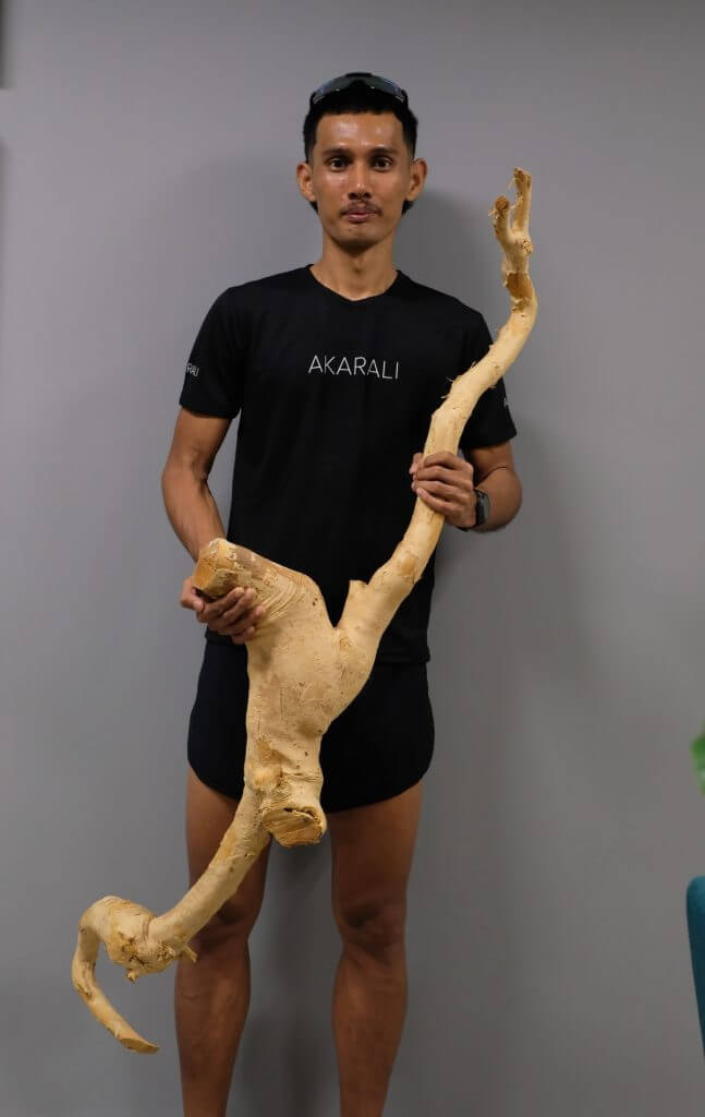 Best Tongkat Ali in Malaysia: Experts Review & Guide - Akarali