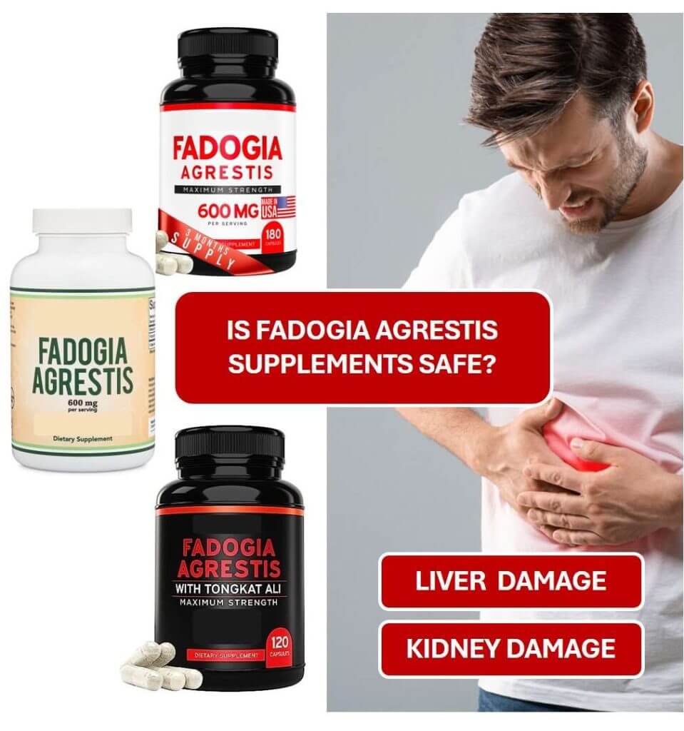 Side effects of Fadogia Agrestis on kidneys and liver are severe ...