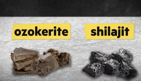 Does Shilajit brings health benefits, or more risks? Here is what ...