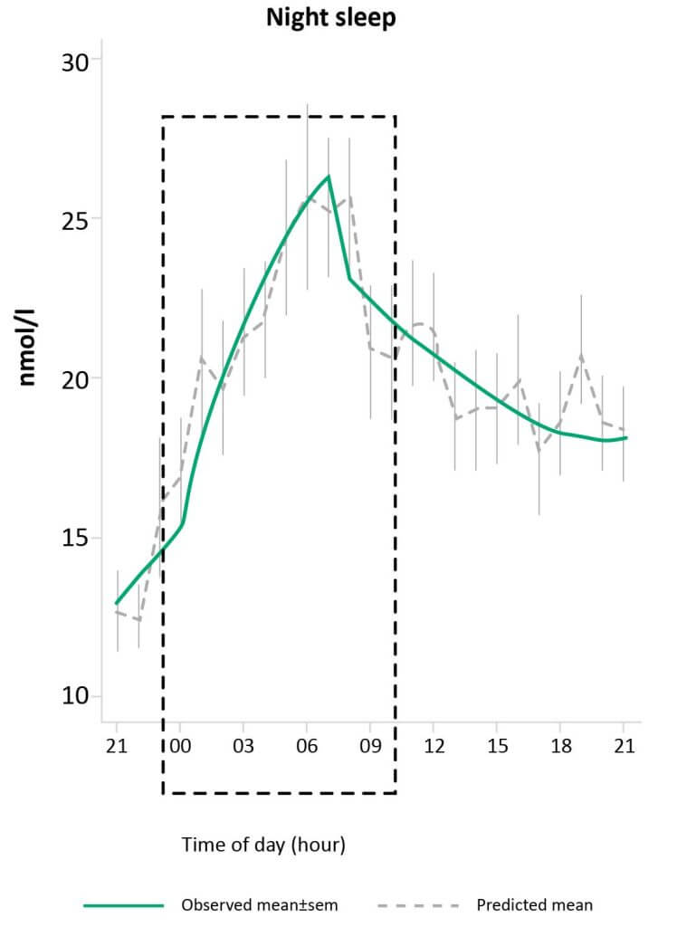 Best Guide on Using Tongkat Ali to Boost Testosterone: Maximize Your ...