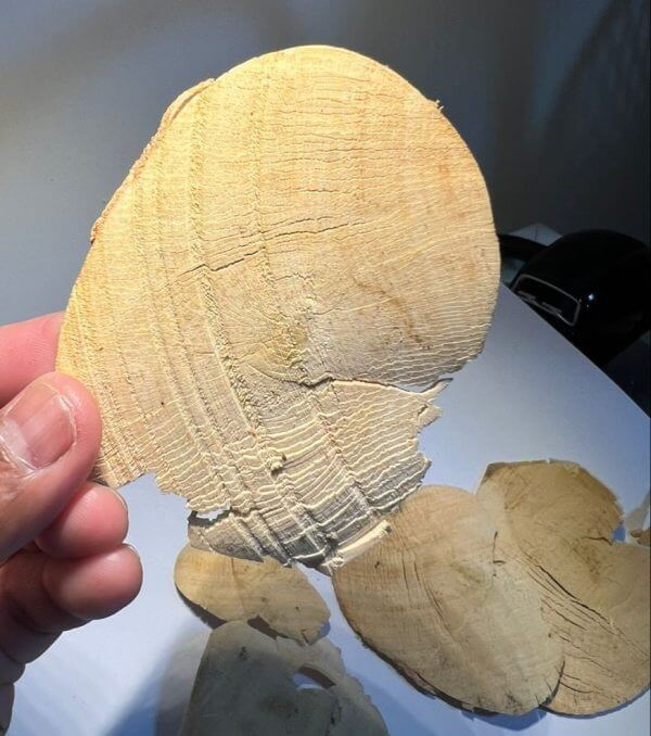 How to use Tongkat Ali? 5 Different Ways to Best Consume Tongkat Ali ...